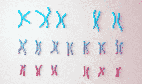 DNA Q&A: Counting Chromosomes - Family Tree Magazine