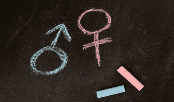 The Role of Gender in DNA Testing for Genealogy Research - Family Tree ...