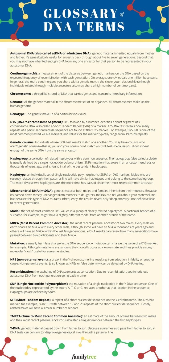 Ultimate List of DNA and Genetic Genealogy Terms (+ Free Download ...