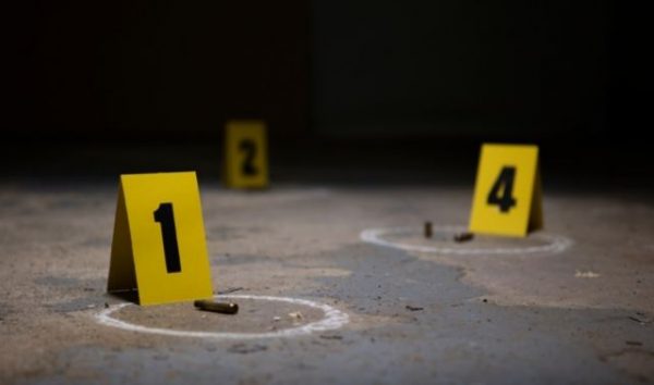 Investigative Genetic Genealogy: How DNA Testing Helps Solve Crimes ...