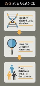 Investigative Genetic Genealogy: How DNA Testing Helps Solve Crimes ...