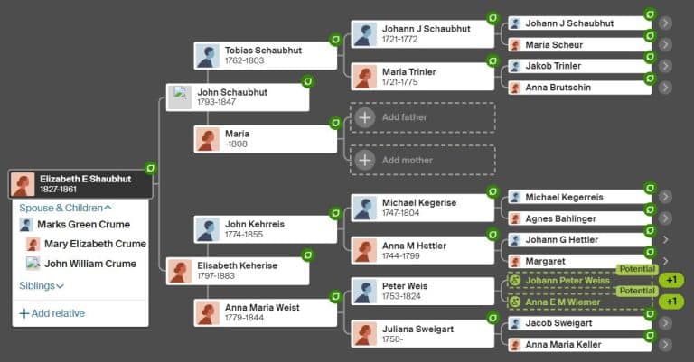 The Best Family Tree Websites Compared: Where to Build Your Tree ...