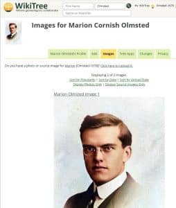 The Best Family Tree Websites Compared: Where to Build Your Tree ...