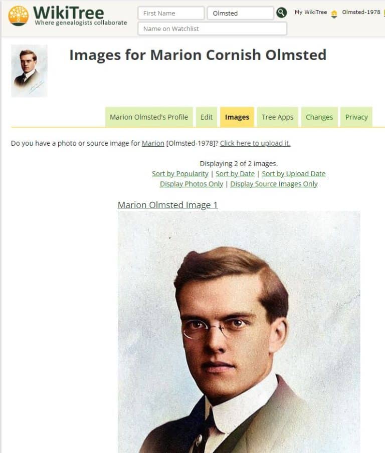 The Best Family Tree Websites Compared: Where to Build Your Tree ...