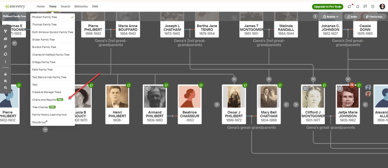How to Master Ancestry Pro Tools to Improve Your Family Tree